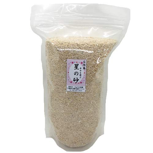 Okinawa Ishigaki Island star sand 1kg – WAFUU JAPAN