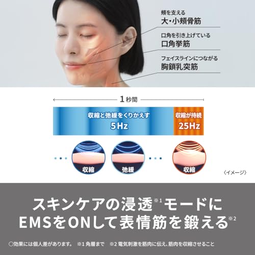 Panasonic Ion Facial Machine Ion Boost Multi EX Power White EH-SS85-W ...