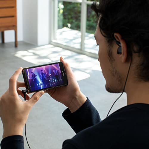 SONY Walkman 64GB ZX Series NW-ZX707 : High-end streaming WALKMAN ...